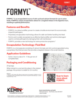 FORMYL™ - Advanced Solution for Swine Health | Animal Nutrition and Health - North America